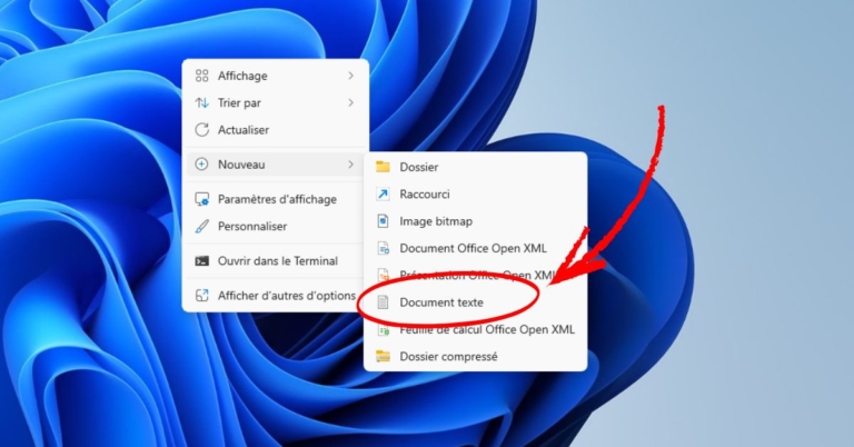 Device Association Framework Provider Host (dasHost.exe) : c'est quoi ...