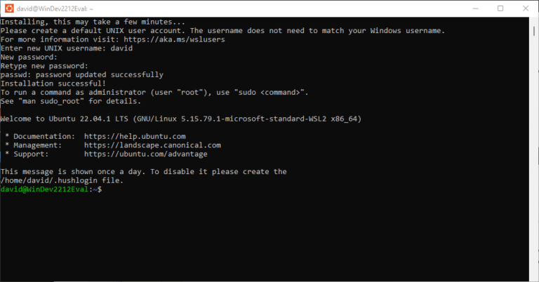 Installer Une Application Linux Gui Sur Windows Lecoindunet