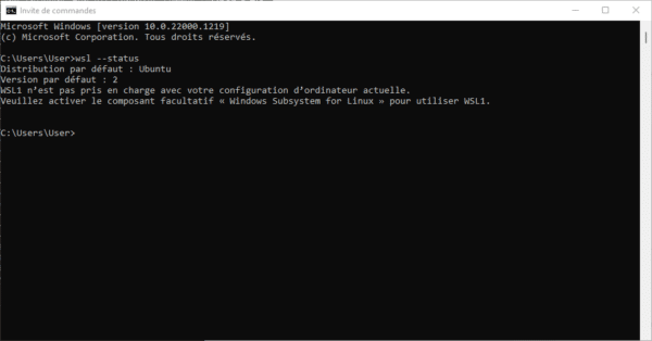 Installer une application Linux GUI sur Windows - Lecoindunet